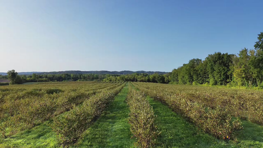 About Farmwell | Our Regenerative Organic Farm & Antioxidant Hydration ...